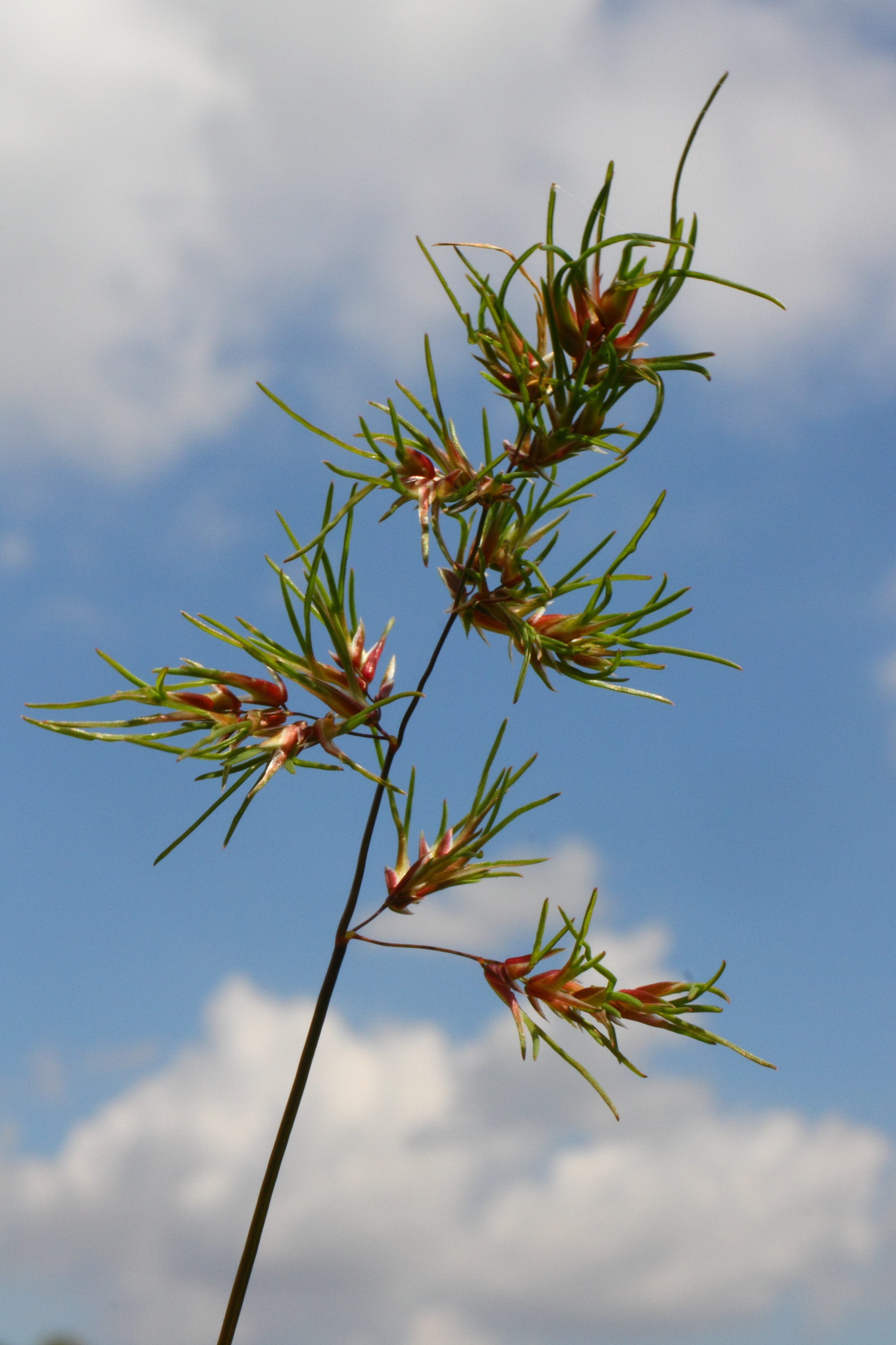 Erste Begehung - AIT Austrian Institute Of Technology